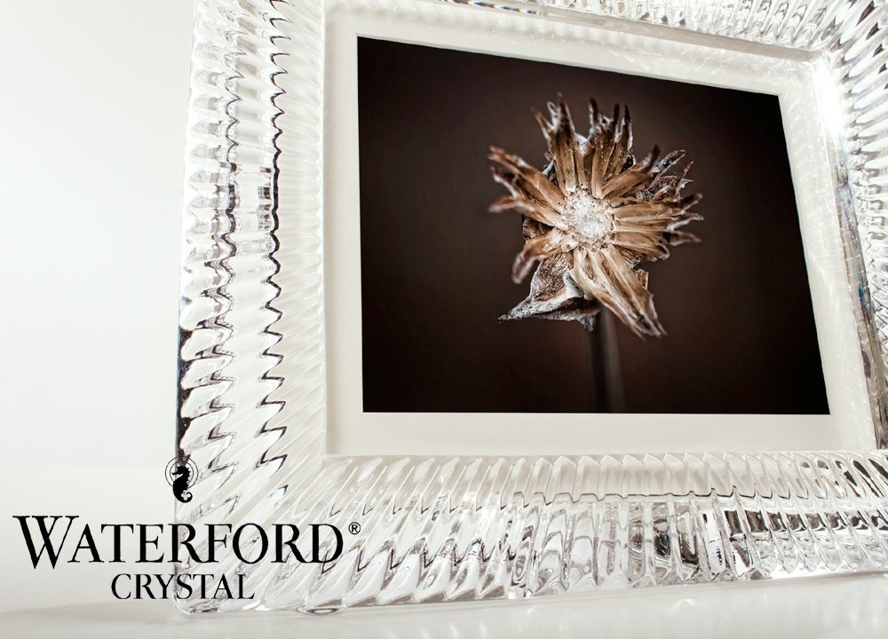 Amazon.com: Waterford Crystal Digital Photo Frame, 8-Inch : Electronics