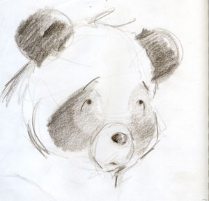 Amazon.com: Xander's Panda Party: 9780547558653: Park, Linda Sue ...