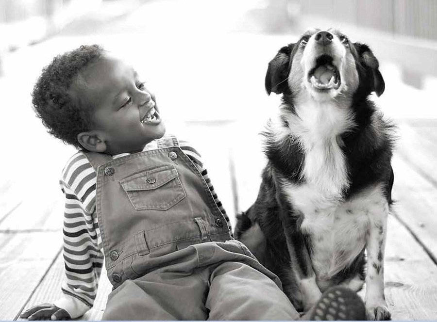 Your Child in Pictures: The Parents' Guide to Photographing Your ...