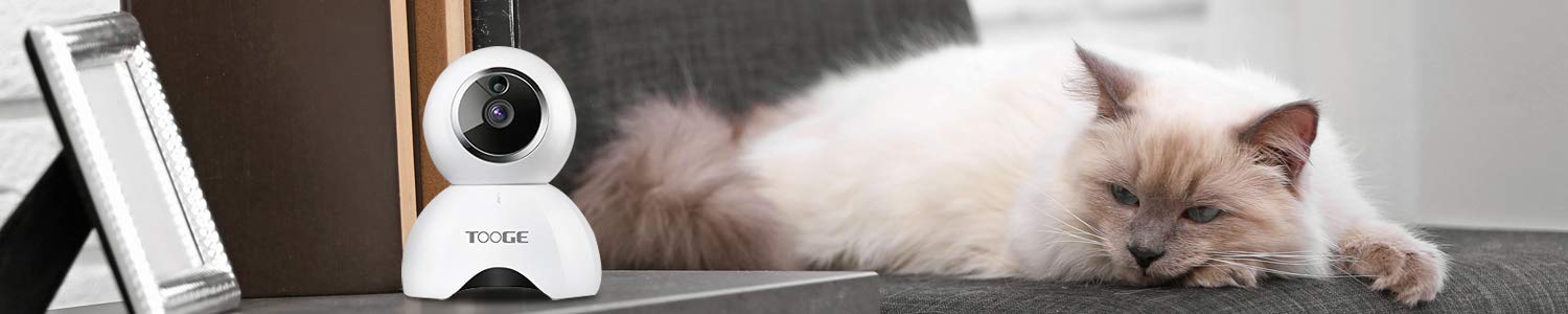 Shop Amazon.com Smart Pet for your Smart Home Needs