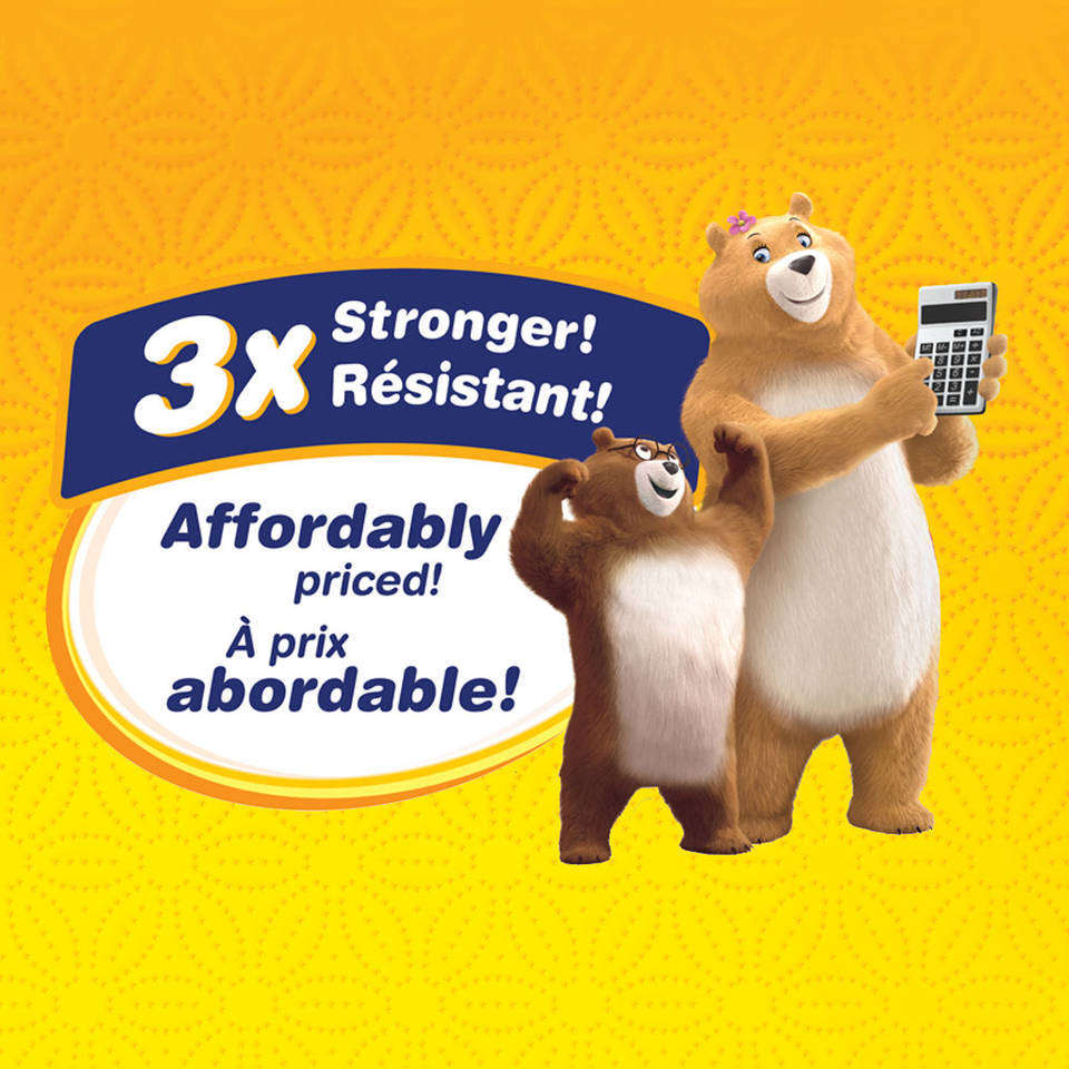 Amazon.com: Charmin Basic Toilet Paper, 9 Huge Rolls (Pack of 4 ...