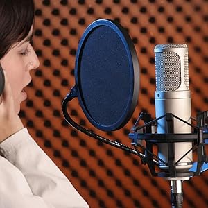 Amazon.com: Rode K2 Large-Diaphragm Tube Condenser Microphone : Musical ...