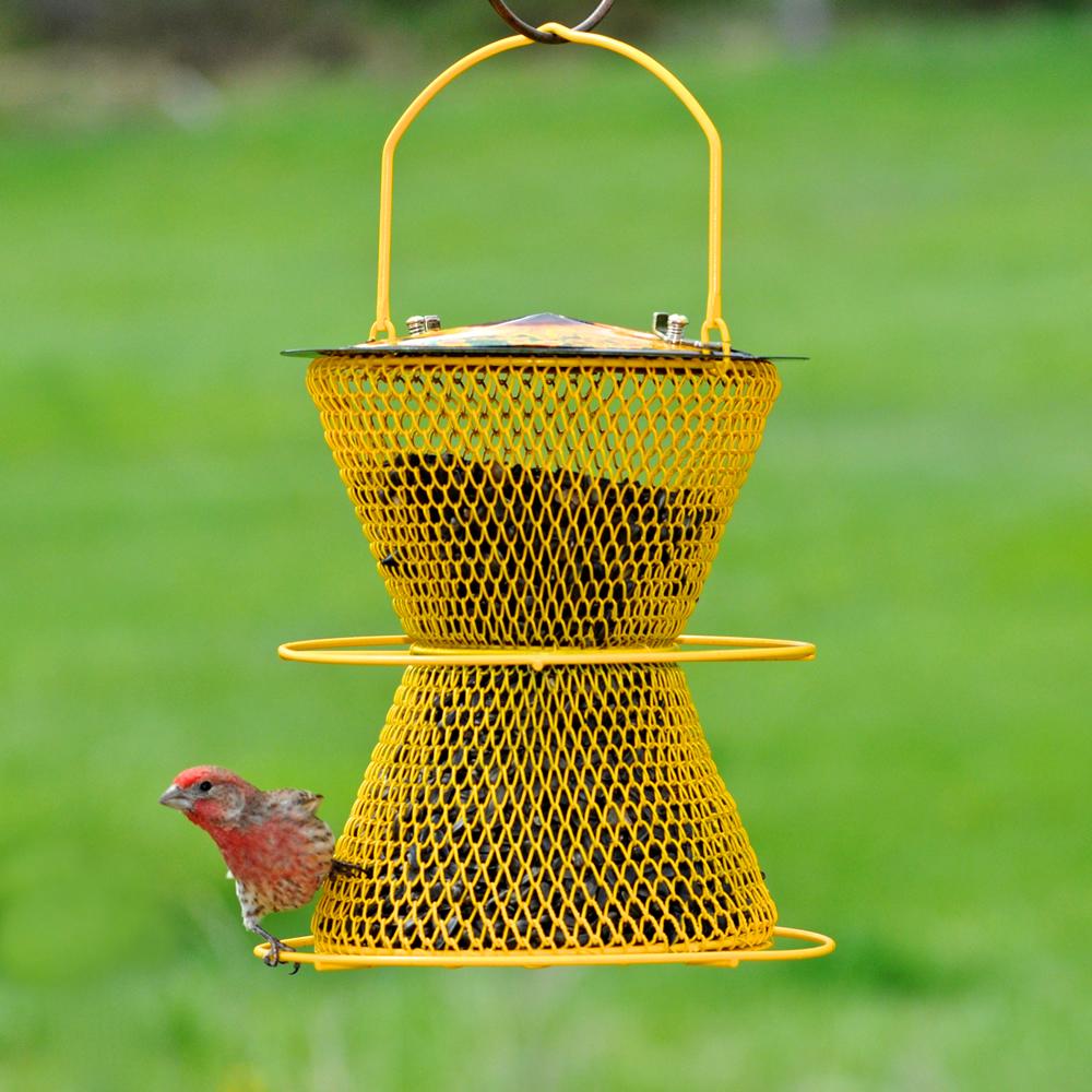 Amazon.com : Perky-Pet DSHG00387 No/No Designer Double Wild Bird Feeder ...
