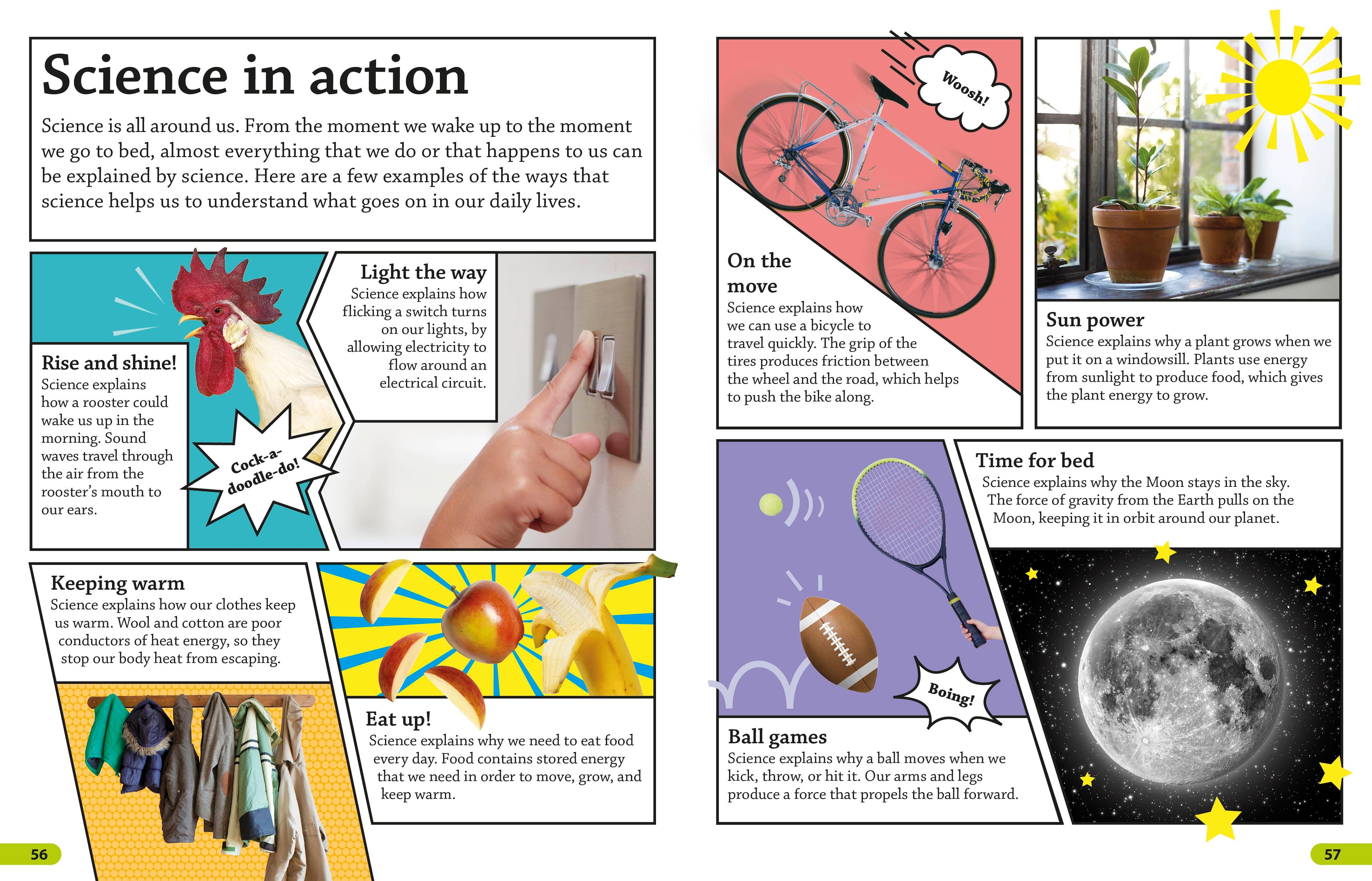 DK findout! Science: DK: 9781465454249: Amazon.com: Books