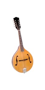 Amazon.com: Saga MT-10 Electric Mandolin Kit: Musical Instruments