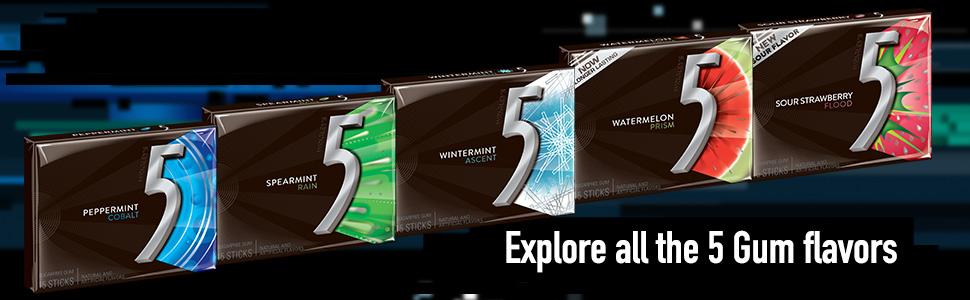 Amazon.com : 5 Gum Watermelon Prism Sugarfree Gum, 10 packs : Chewing ...