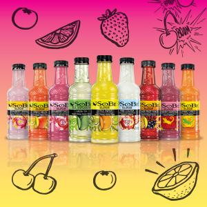 Amazon.com : SOBE Elixir, Green Tea, 20 fl oz. bottles (12 Pack ...