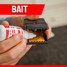 Amazon.com : Tomcat Mouse Attractant Gel (For Use with Mouse or Rat ...