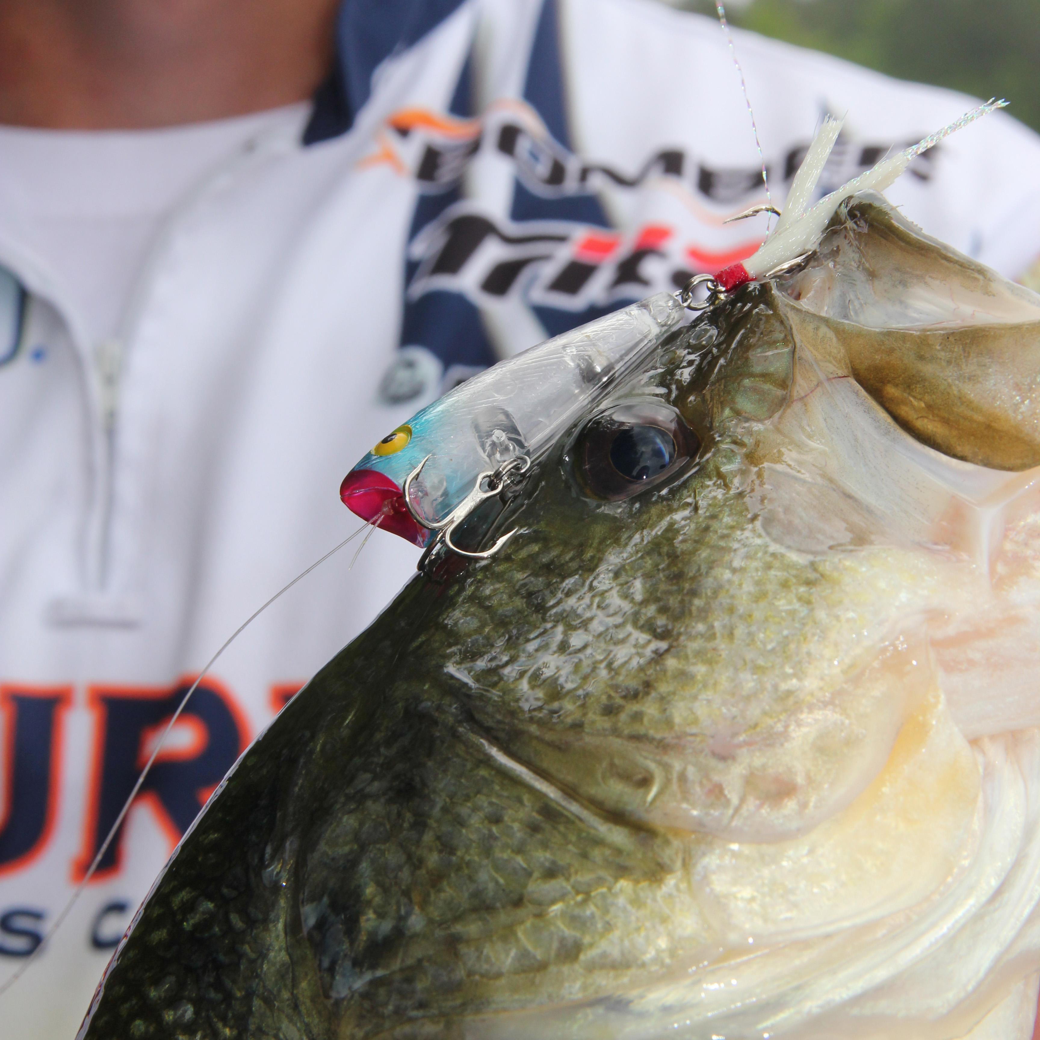 Amazon.com : Rebel Pop-R Fishing Lure - Bone : Fishing Diving Lures ...