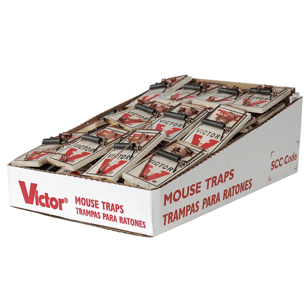 Amazon.com : Victor Metal Pedal Mouse Trap (Pack of 72) : Garden & Outdoor