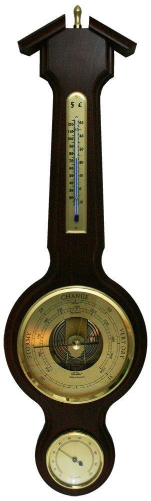 Amazon.com: Ambient Weather 4673-22 Fischer Instruments Banjo Weather ...