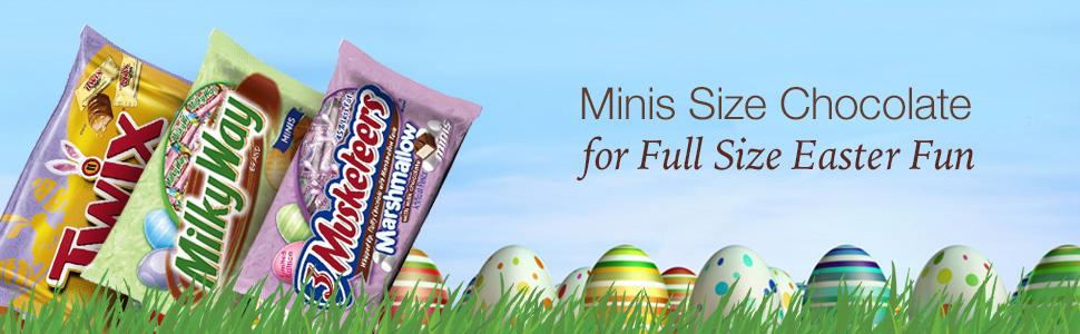 Amazon.com : MILKY WAY Easter Milk Chocolate Minis Size Candy Bars 11.5 ...