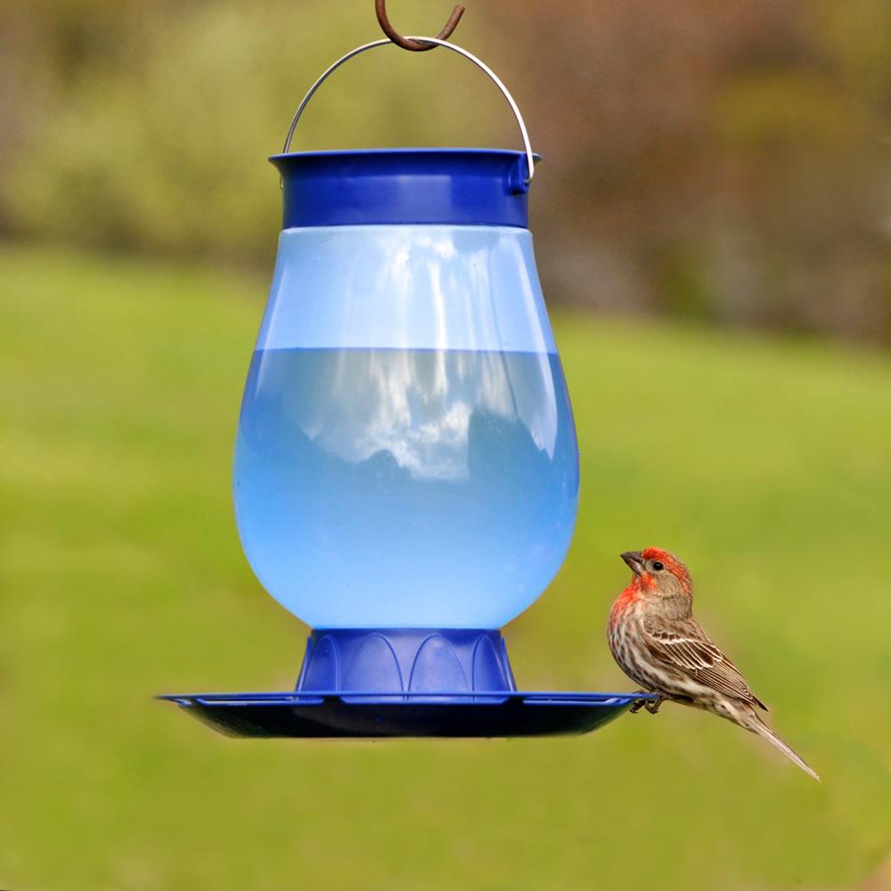 Amazon.com: Perky-Pet 782 Top Fill Bird Waterer: Garden & Outdoor