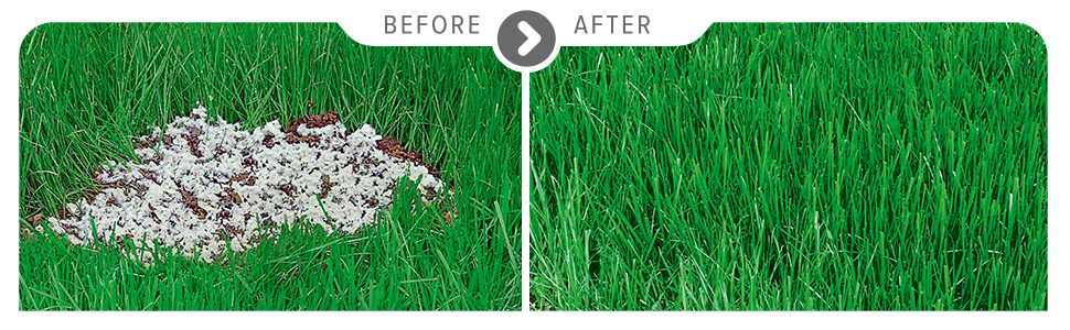 Amazon.com : Scotts PatchMaster Lawn Repair Mix - Sun and Shade Mix, 4. ...