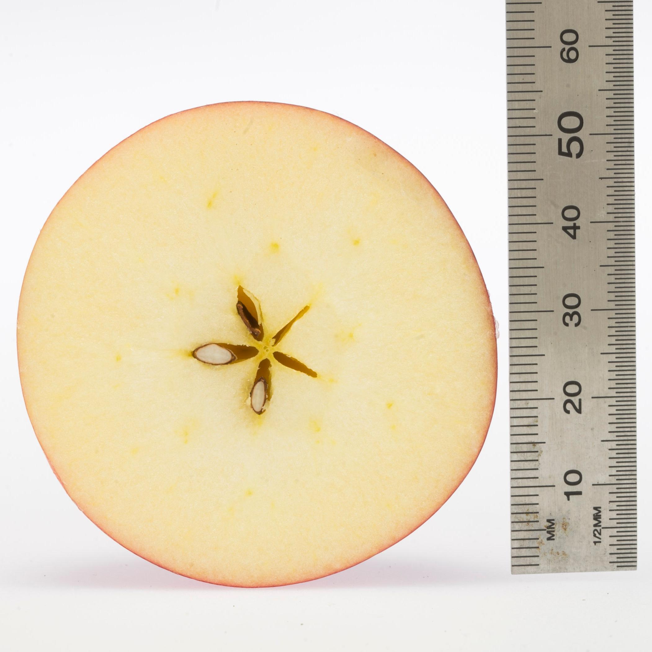 Rockit Apple, 7.5 oz(us): Amazon.com: Grocery & Gourmet Food