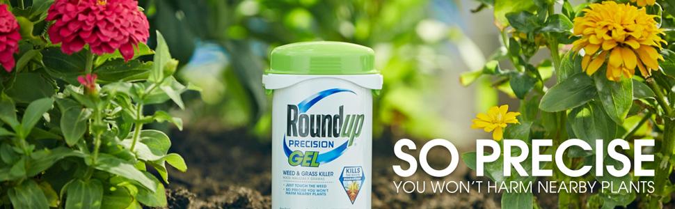 Amazon.com : RoundUp Precision Gel Weed & Grass Killer 5 OZ (150ML ...