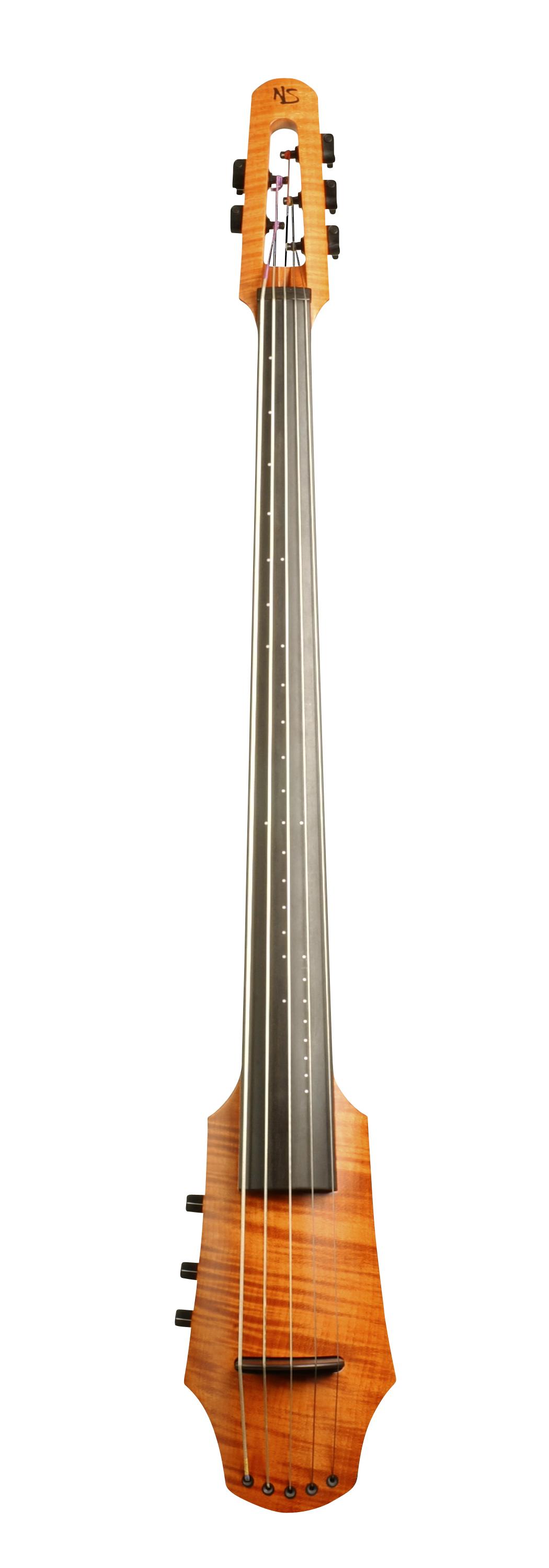 Amazon.com: NS Design CR5 Cello: Musical Instruments