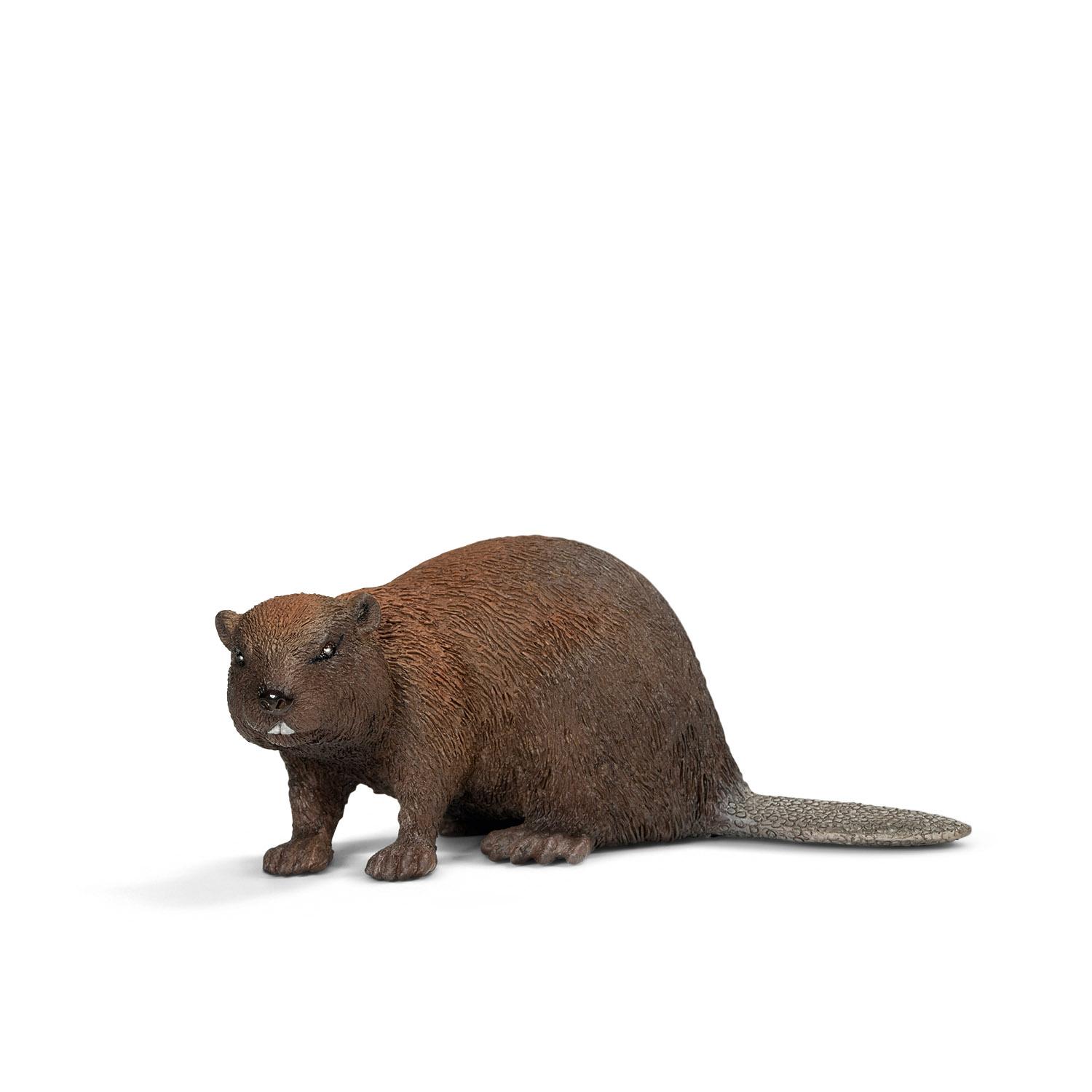 Amazon.com: Schleich Beaver Toy Figure: Schleich: Toys & Games