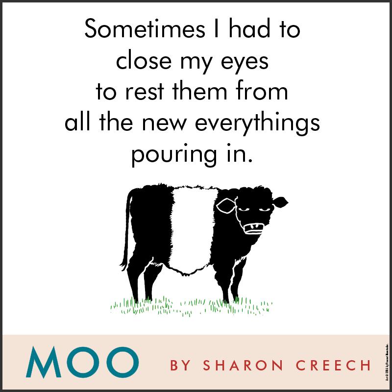 Moo: A Novel: Sharon Creech: 9780062415240: Amazon.com: Books