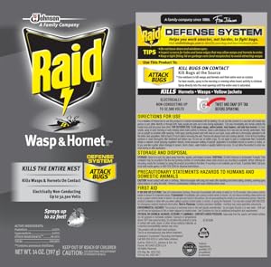 Amazon.com : Raid Wasp and Hornet Killer Spray, Kills the entire nest ...