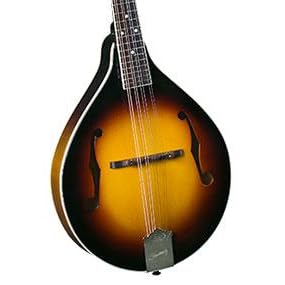 Amazon.com: Kentucky Artist A-Model Mandolin Model KM-160 in ...