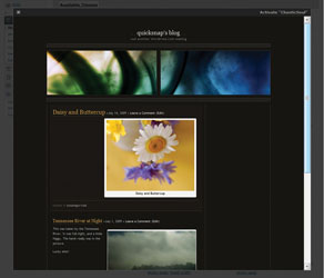 Amazon.com: David Busch's Quick Snap Guide to Photoblogging with WordPress: An Instant Start-Up ...