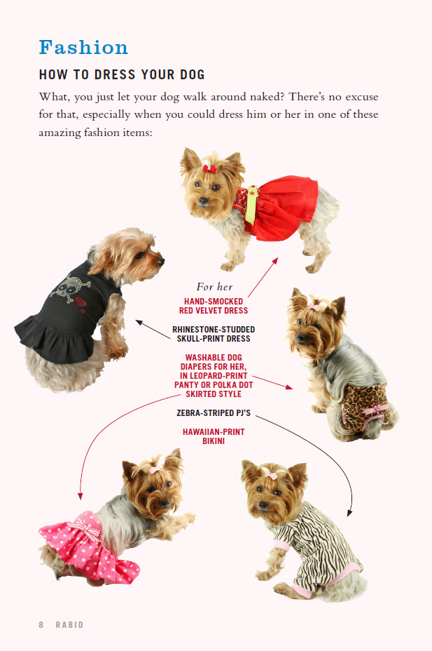 Rabid: Are You Crazy About Your Dog or Just Crazy?: Redmond Satran ...