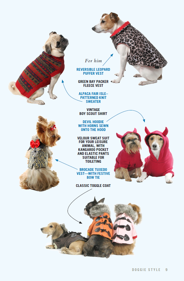 Rabid: Are You Crazy About Your Dog or Just Crazy?: Redmond Satran ...