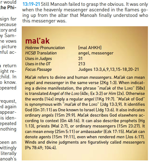 HCSB Study Bible, Jacketed Hardcover: Holman Bible Staff, The HCSB ...