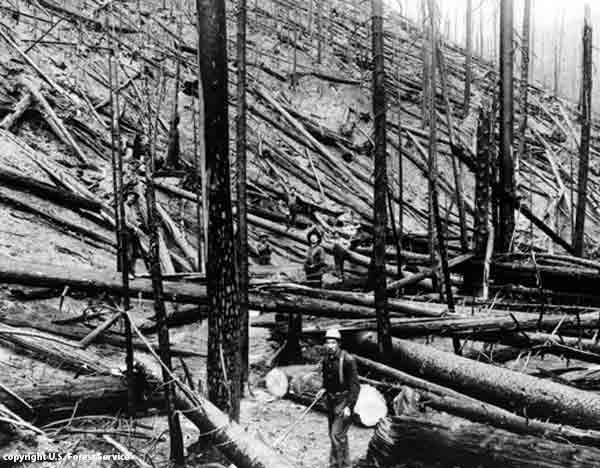 The Big Burn: Teddy Roosevelt and the Fire that Saved America: Egan ...