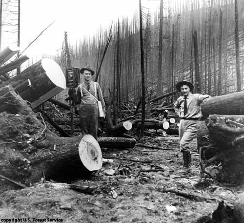 Amazon.com: The Big Burn: Teddy Roosevelt and the Fire that Saved ...