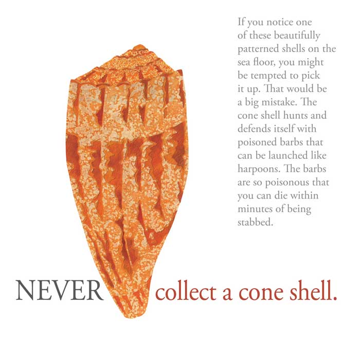 Never Smile at a Monkey: And 17 Other Important Things to Remember ...