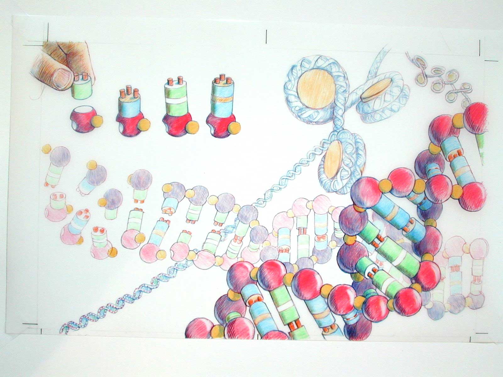 Amazon.com: The Way We Work: Getting to Know the Amazing Human Body ...