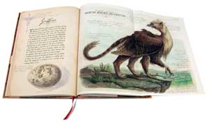 Arthur Spiderwick's Field Guide to the Fantastical World Around You ...