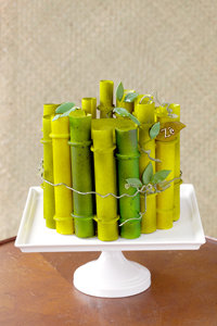 Master Class with Toba Garrett