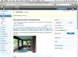 Teach Yourself VISUALLY Complete WordPress: Majure, Janet ...