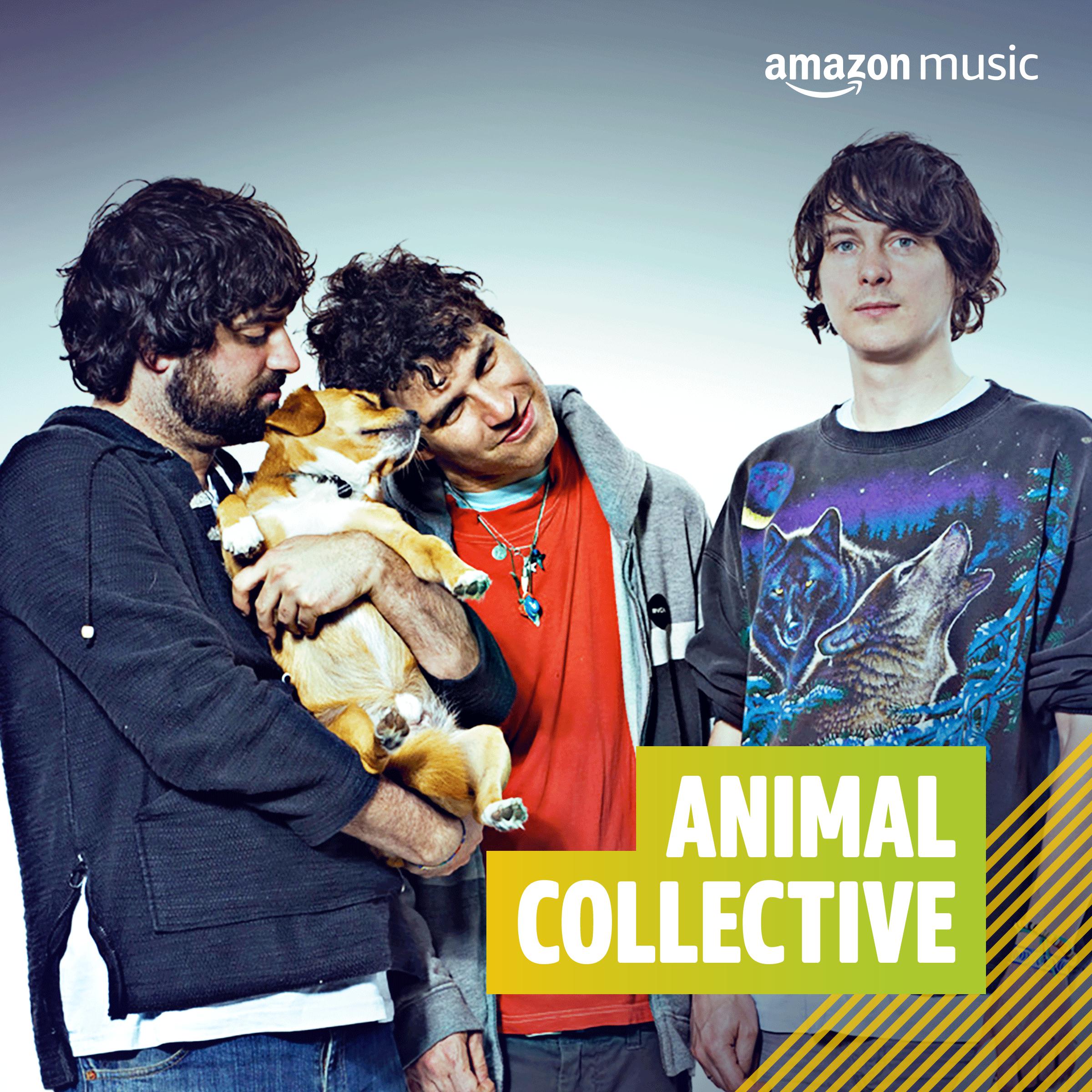 Animal Collective on Amazon Music Unlimited