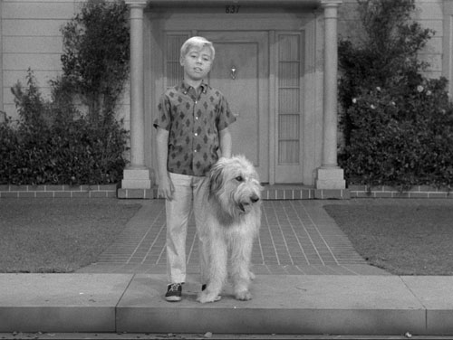 Amazon.com: My Three Sons: Season 2, Vol. 1 : MacMurray, Fred ...