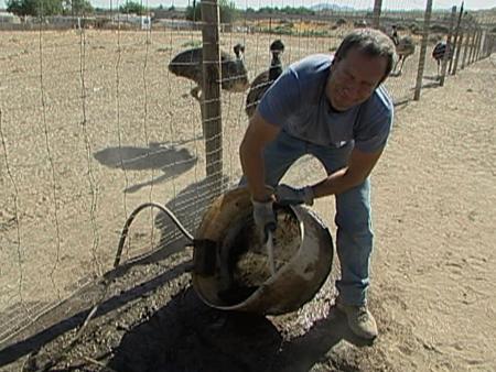 Amazon.com: Dirty Jobs: Collections 1-4 : Mike Rowe, N/a: Movies & TV