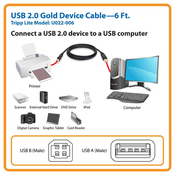 Tripp Lite USB 2.0 Hi-Speed A/B Cable (M/M) 6-ft. (U022-006) : Amazon ...