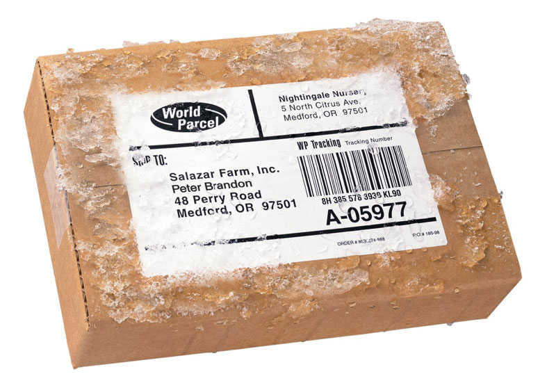 Amazon Avery White WeatherProof Labels For Laser Printers 1 X 2 