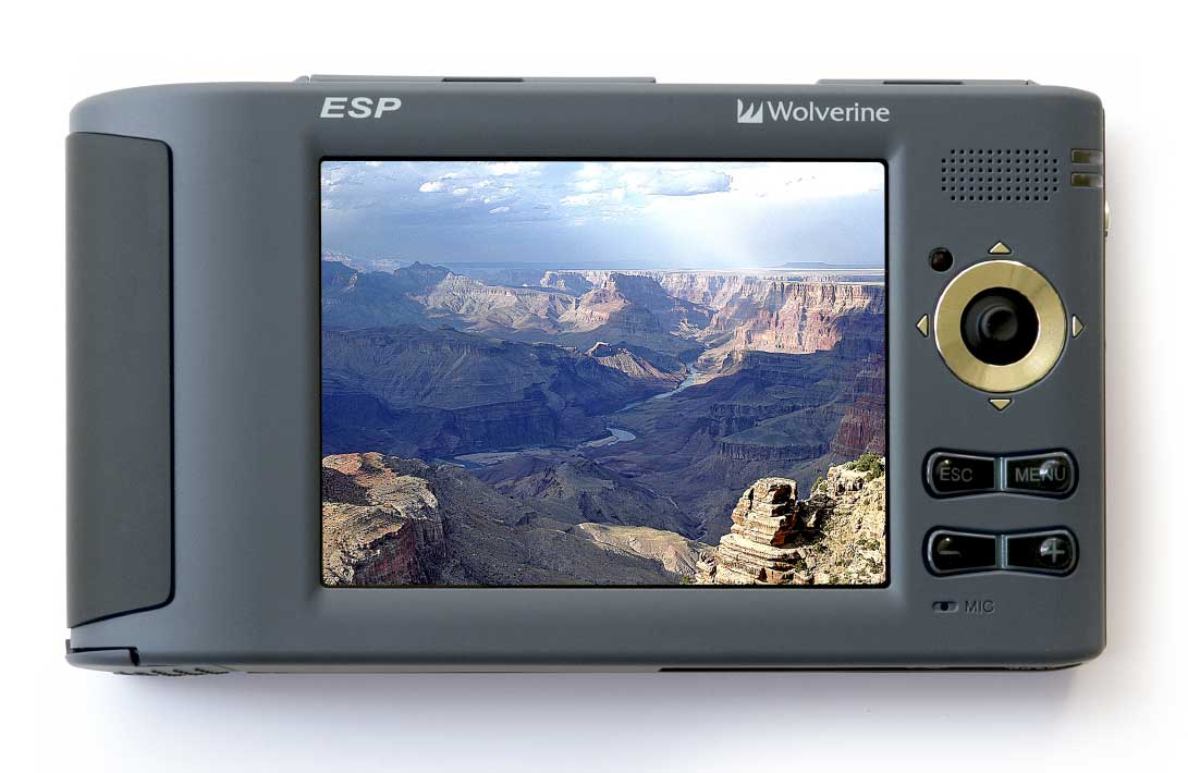 Amazon.com: Wolverine 160 GB Portable Multimedia Storage Player with ...