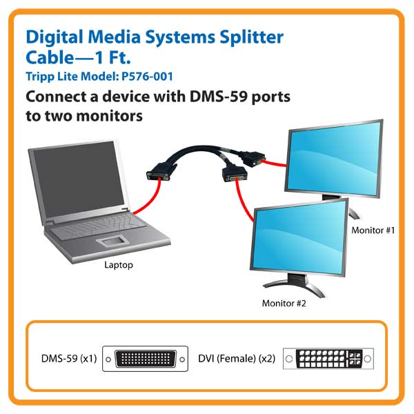 Amazon.com: Tripp Lite DMS-59 to Dual DVI Splitter Y Cable (M to 2x DVI ...