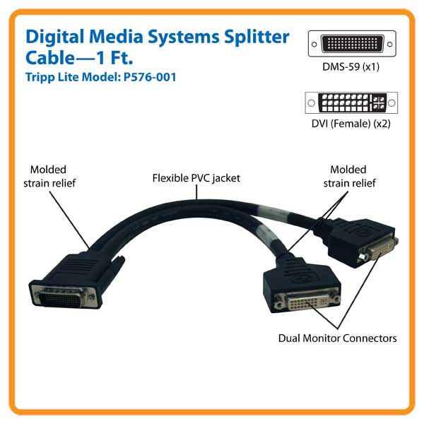 Dms-59 to Dual Dvi Splitter Y Cable (M to 2x Dvi-I F) 1-Ft. : Amazon.ca ...