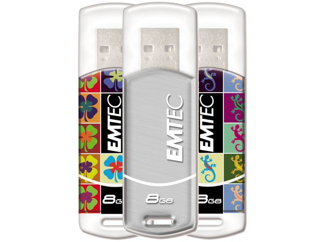 Amazon.com: EMTEC C300 Style Series 2 GB USB 2.0 Flash Drive (Silver ...