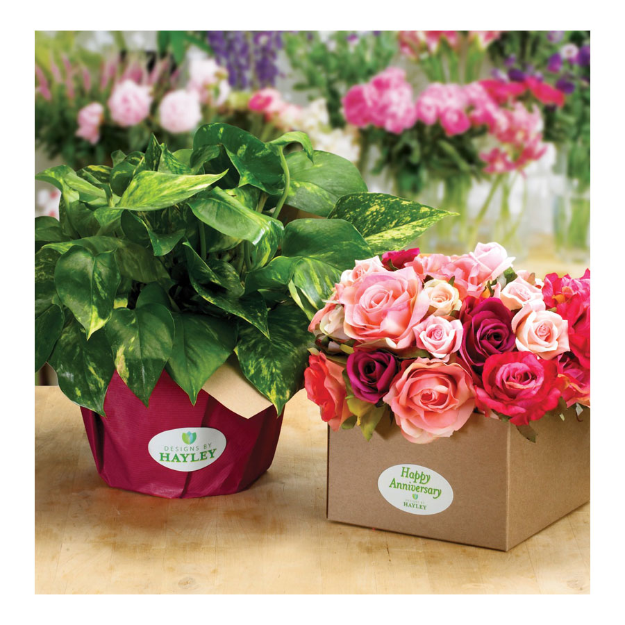 Amazon.com : Avery Removable Window and Wall Signage, InkJet, 8.5 x 11 ...