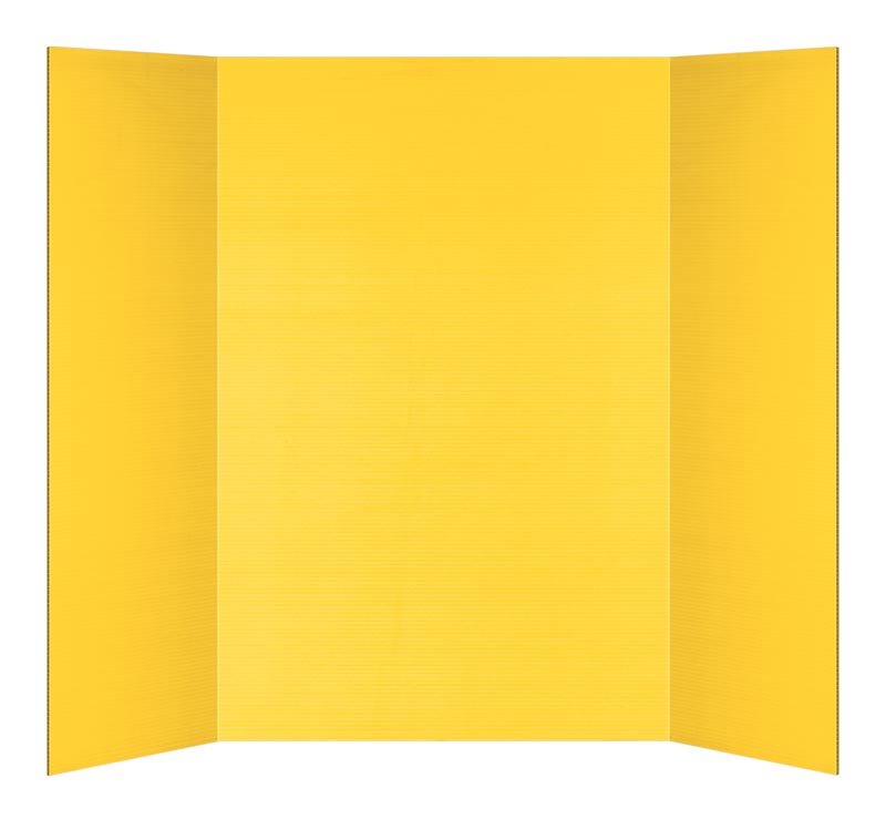 Amazon.com: Bankers Box Plastic Display Board, Yellow, 2 Pack (3383202)