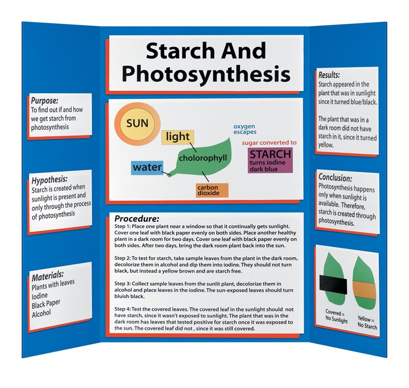 Amazon.com : Bankers Box Tuff-Board Plastic Presentation Boards, Blue ...