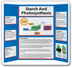 Amazon.com : Bankers Box Tuff-Board Plastic Presentation Boards, Blue ...