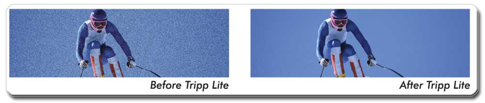 Tripp Lite TLP810NET 8-Outlet Surge Protector 3240 Joules, 10 Feet Cord ...